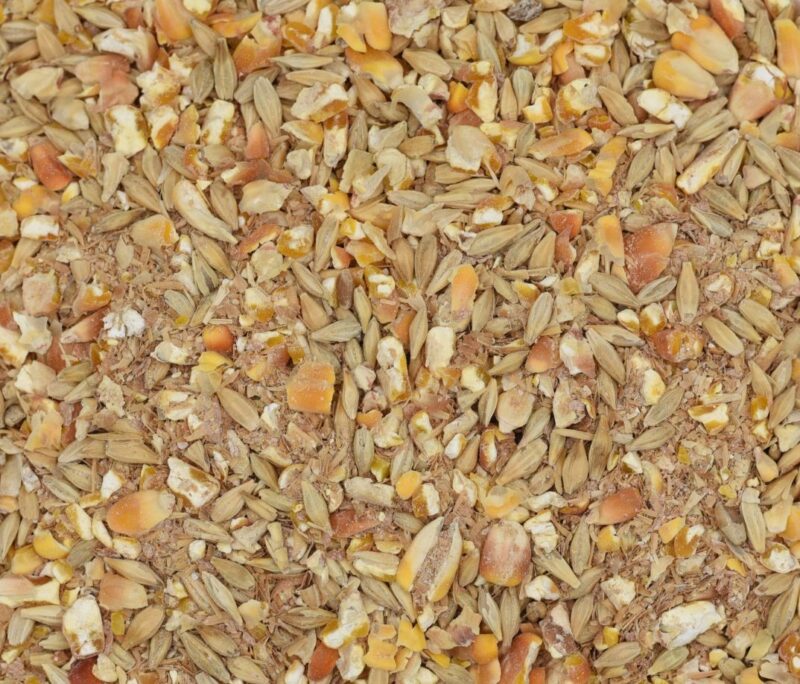 Animal Feed Grains: Best Corn, Barley, Soybean Meal Feed | Al Marrai Al ...